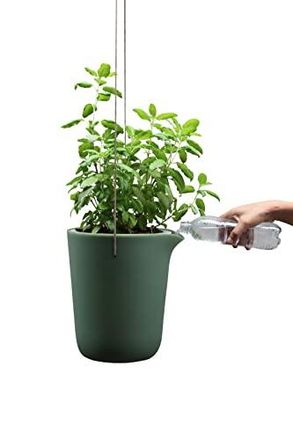 Qualy Qualy Oasis Square Blumentopf Rund mit Selbstbew&auml;sserungssystem in der Farbe Gr&uuml;n, Gr&ouml;&szlig;e: L, QL10308-GN-GY