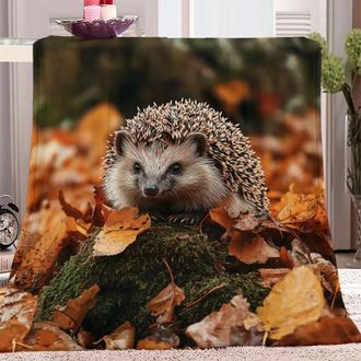 Generic Decke Tier Igel Herbstbl&auml;tter Bunt 100 x 130 cm, Warm Flauschige Flanell Kuscheldecken F&uuml;r Kinder Jugendliche Erwachsene, Weiche Decke als Schlafdecke