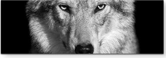 Paul Sinus Art Leinwandbilder | Bilder Leinwand 150x50cm Portrait - Wolf schwarz, weiß