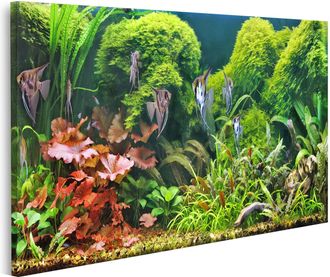 Islandburner Dekoratives Aquarium mit Skalare Leinwand Bild Wandbilder Bilder