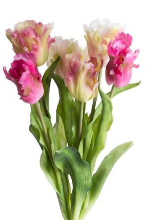 Botanic-Haus k&uuml;nstliches Tulpenb&uuml;ndel/k&uuml;nstlicher Tulpenbund Sandy Parrot mit 6 Tulpen Farbe: Pink-Beauty real Touch