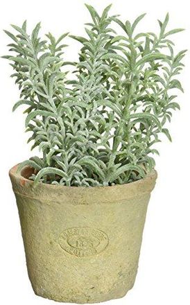 Esschert Design Esscherts Design AH001 Kleine k&uuml;nstliche Pflanze in Terrakotta-Topf im Antik-Stil, Thymian/gr&uuml;n