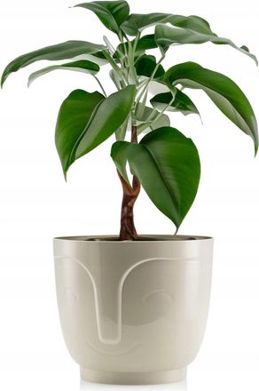 HowHomely Beige Blumentopf aus Kunststoff Hoch 14 cm mit einem Durchmesser von 17 cm - &Uuml;bertopf Mit L&auml;cheln-Gesicht f&uuml;r Deko Wohnzimmer