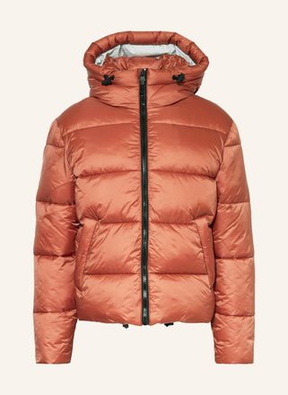 Paul Paul Steppjacke Mit Dupont Sorona-Isolierung braun