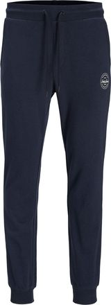Jack & Jones Male Jogginghose Regular Fit Jogginghose