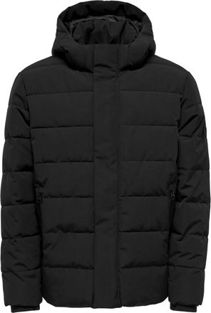 Only & Sons Male Daunenjacke ONSCAYSON Daunenjacke