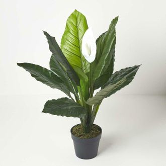Homescapes Homescapes - Kunstpflanze Spathiphyllum Wallisii, Friedenslilie mit wei&szlig;en Bl&uuml;ten, 90 cm