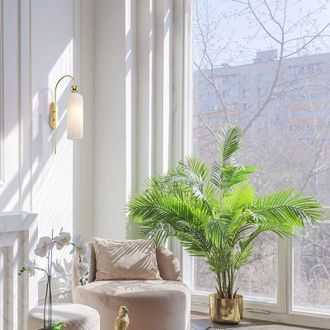 Pier Import Pier Import - Applique rétro en verre dépoli, forme arche solana