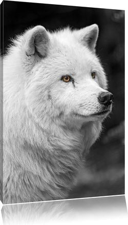 Pixxprint pr&auml;chtiger Polarwolf B&W, Gr&ouml;&szlig;e: 80x60cm, Leinwandbild, fertig gespannt, Wandbild, Dekoration, Kunstdruck, kein Poster
