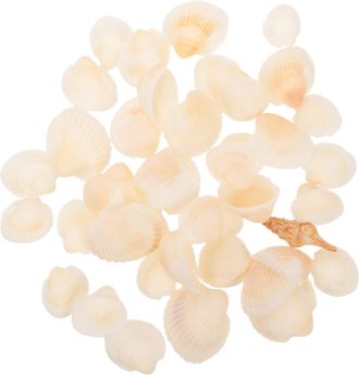 Holibanna SAFIGLE 1 Schachtel Nat&uuml;rliche Wei&szlig;e Muscheln Kleine DIY Bastelmaterialien f&uuml;r Wanddeko Meerjungfrau Deko Naturbelassene Schalen f&uuml;r Wohnraumgestaltun