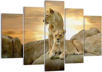 Arttor Bilder auf Leinwand 150x100cm Leinwandbild L&ouml;wen Sonnenuntergang Felsen Krallen Gro&szlig; XXL Wanddeko Bild Schlafzimmer Set 5 teilige Wandbilder Dekoratio