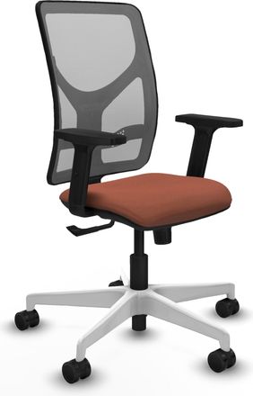 Piqueras y Crespo Brauner Schreibtischstuhl mit 2D-Armlehnen, h&ouml;henverstellbare Lendenwirbelst&uuml;tze, ausgestattet mit 3 Positionen und Schneidschaum, Grau/Braun