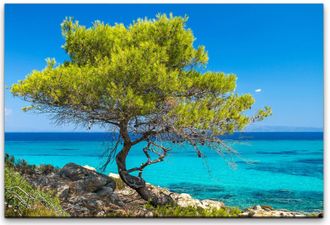 Paul Sinus Art Landschaft Wandbild in verschiedenen Größen Wähle Deine Größe 90x60cm