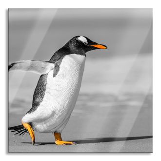Pixxprint Glasbild, Wandbild auf Echtglas, watschelnder Pinguin am Strand, 60x60 cm, inkl. Aufhängung und Abstandshalter
