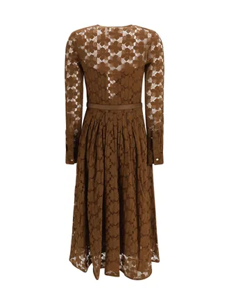 Max Mara Womens Agrume Midi Dress Lace Cioccolato Polyamide; Cotton