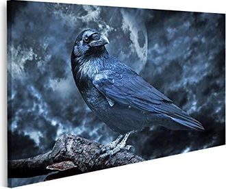 Islandburner Tableau sur toile Corbeau noir au clair de lune perch&eacute; sur un arbre dans un cadre gothique effraya Cadre Affiche Poster Murale Tableaux