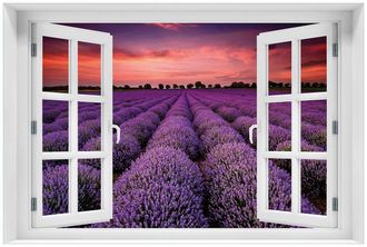 Wallario Poster - Lavendelfeld unter rotem Himmel in Premiumqualit&auml;t, Gr&ouml;&szlig;e: 61 x 91,5 cm mit Fenster-Illusion (Maxiposter)