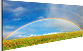 Islandburner Bild Bilder auf Leinwand Landschaft mit blühendem Feld und Regenbogen Wandbild, Poster, Leinwandbild MKP