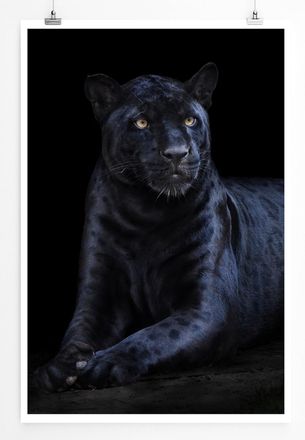 Paul Sinus Art Bilder - Tierbilder - Seltener schwarzer Jaguar- Leinwand Kunstdrucke Wandbilder aus Deutschland