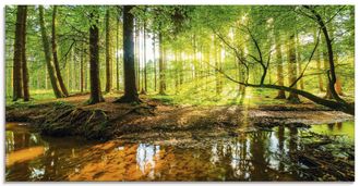 Artland ARTland Wanddeko Glasbilder Wandbild Glas Bild einteilig 100x50 cm Querformat Wald Natur Landschaft Bäume Bach Sonne Frühling T9IO
