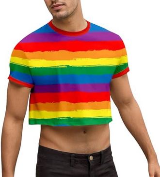 Generic T-shirts pour hommes Lgbtq Pride Crop Crop Arc-en-ciel Drapeau Top D&eacute;contract&eacute; Coton T-shirt Slim Fit Muscle Shirt Loisirs Haut D&eacute;contract&eacute; Streetwear