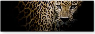 Paul Sinus Art Leinwandbilder | Bilder Leinwand 150x50cm Portrait Leopard