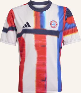 adidas Fc Bayern ss26 Pre-Match Trikot Kinder blau