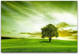 Paul Sinus Art Baum im gr&uuml;nen Wandbild in verschiedenen Gr&ouml;&szlig;en W&auml;hle Deine Gr&ouml;&szlig;e 80x120cm