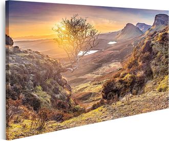 Islandburner Bild auf Leinwand Schottland Insel Sky toller Baum Blick Morgen Quiraing Bilder Wandbilder Poster BNOB-1K