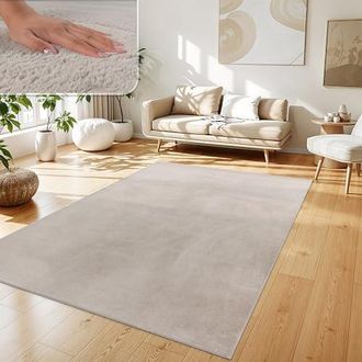 Paco Home Tapis Salon Fausses Fourrures Doux Lavable Moderne Élégant Facile À Entretenir Effet Fourrure Uni Brillant Douillet À Poils Courts, Dimension:120x160 