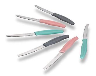 Echtwerk Set de 6 couteaux &agrave; pain (acier inoxydable avec bord dentel&eacute;, manche en plastique, 2 roses, 2 gris et 2 turquoises)