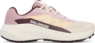 Salomon Laufschuhe Salomon Alphaglide W L49092800 Creme