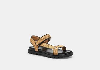 Coach Sport Sandal
