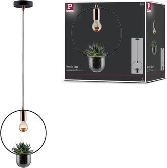 Paulmann 79748 Neordic Pendelleuchte Tasja Pflanzenleuchte max. 20 Watt Tischlampe ohne Leuchtmittel Schwarz, Kupfer Metall E27
