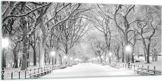 Arttor Wandbilder Dekoration Wohnzimmer Schnee Winter Park Panorama Bilder auf Glas 120x50cm Glasbild Schlafzimmer K&uuml;che Wand Kunstdruck Art Gro&szlig; Wanddeko Bi