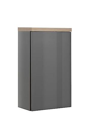 Composad | Badezimmer-H&auml;ngeschrank der Linie Mundi, mit 1 T&uuml;r, Badezimmerschrank, Ma&szlig;e (BxHxT): 39,6 x 66,8 x 22 cm, Titangrau lackiert und Eiche Honig, Made i