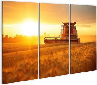 Islandburner Bild auf Leinwand M&auml;hdrescher erntet Weizenfeld bei Sonnenuntergang Traktor Bilder Wandbilder Poster