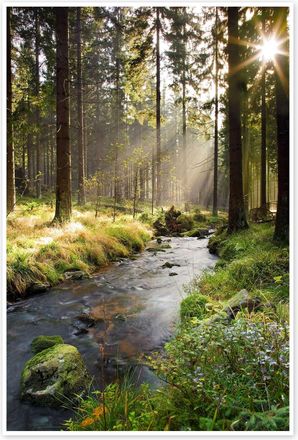 Posterlounge Bode im Harz Poster von Dave Derbis 60 x 90 cm Gr&uuml;n Wandbilder Wanddeko