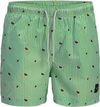 Jack & Jones Jpstmaui Jjswim Mini Stripe AKM Sn