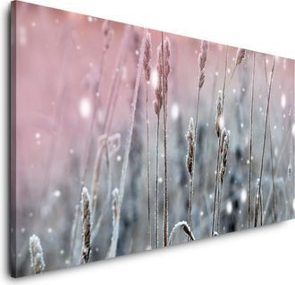 Paul Sinus Art Winterpflanzen 120x 60cm Panorama Leinwand Bild XXL Format Wandbilder Wohnzimmer Wohnung Deko Kunstdrucke