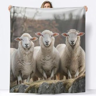 Generic Couverture Polaire 220x240 cm Mouton Flanelle Plaid Animaux, Couverture lit 2 Personnes, Plaid Doux et Chaud pour Jeté de Canapé et Lit A-5001