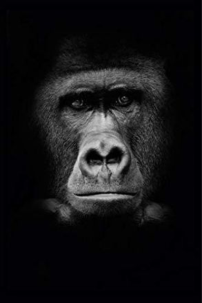 Scenolia Acrylglas-Tafel, Aufdruck mit weißem Untergrund, 60 x 90 cm