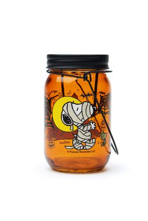 Excelsa Peanuts Halloween Laterne Teelichthalter, Orange, Gr&ouml;&szlig;e: 7,5 x H 13 cm