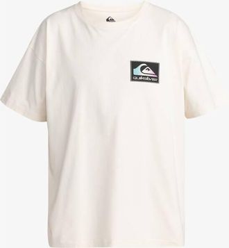 Quiksilver Herren Shirt BACKFLASH TEES