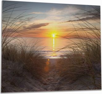 Wallario Herdabdeckplatte/Spritzschutz aus Glas, 1-teilig, 60x52cm, f&uuml;r Ceran- und Induktionsherde, Sonnenuntergang am Strand