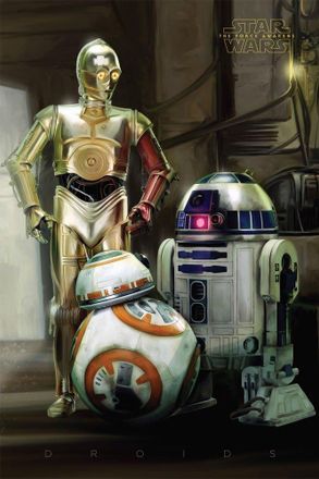 Star Wars Poster (35r) Star Wars Droids (61x91,5)