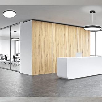 Dotlux LED-Leuchte DISCugr &Oslash;400mm 40W COLORselect und DALI schwarz