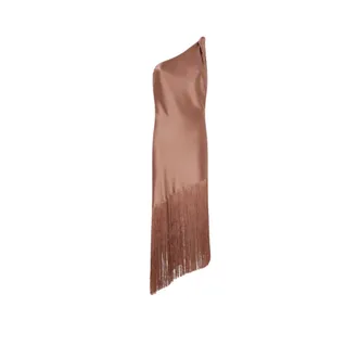 Pinko Pinko, Damen, Kleider, Braun, MGr&ouml;&szlig;e