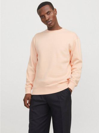 Jack & Jones Sweatshirt JJESTAR BASIC SWEAT CREW NECK NOOS mit Rundhalsausschnitt
