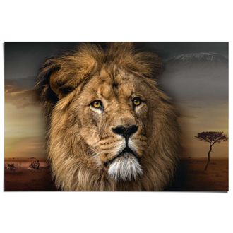 Reinders Poster, Löwenkopf, Schlafzimmer, Poster, Wanddeko, Room Decor, 150 gr. glänzend Bilderdruckpapier, Beige, 61x91,5cm